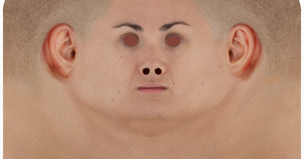 Female head texture map 46